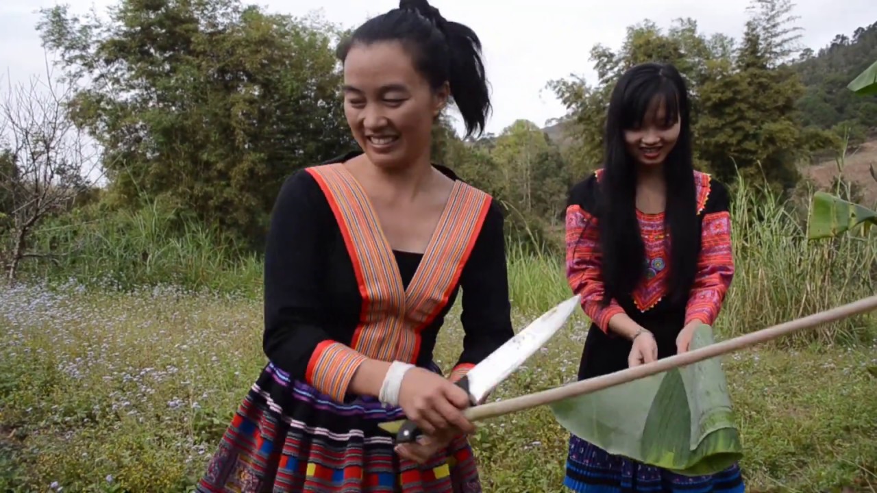 Nkauj Hmoob Tuav Ncuav noj - YouTube