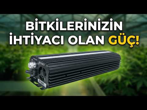 Hasadı %10 Artıran Sır: Süper Lümen Nedir? | Dijital Balast Kurulumu