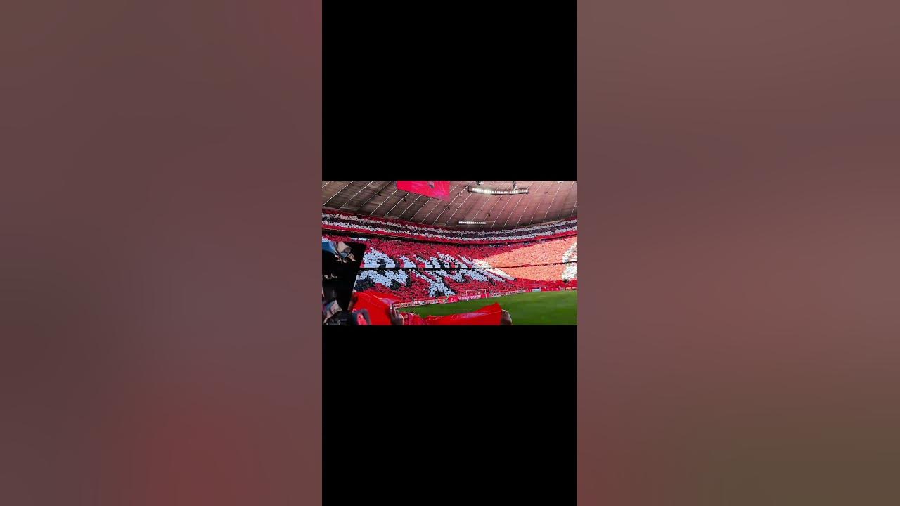 5年一次的全场tifo！拜仁125周年震撼开场！ 拜仁 唯有足球不可辜负 dou来足球季 拜仁慕尼黑 足球 - YouTube