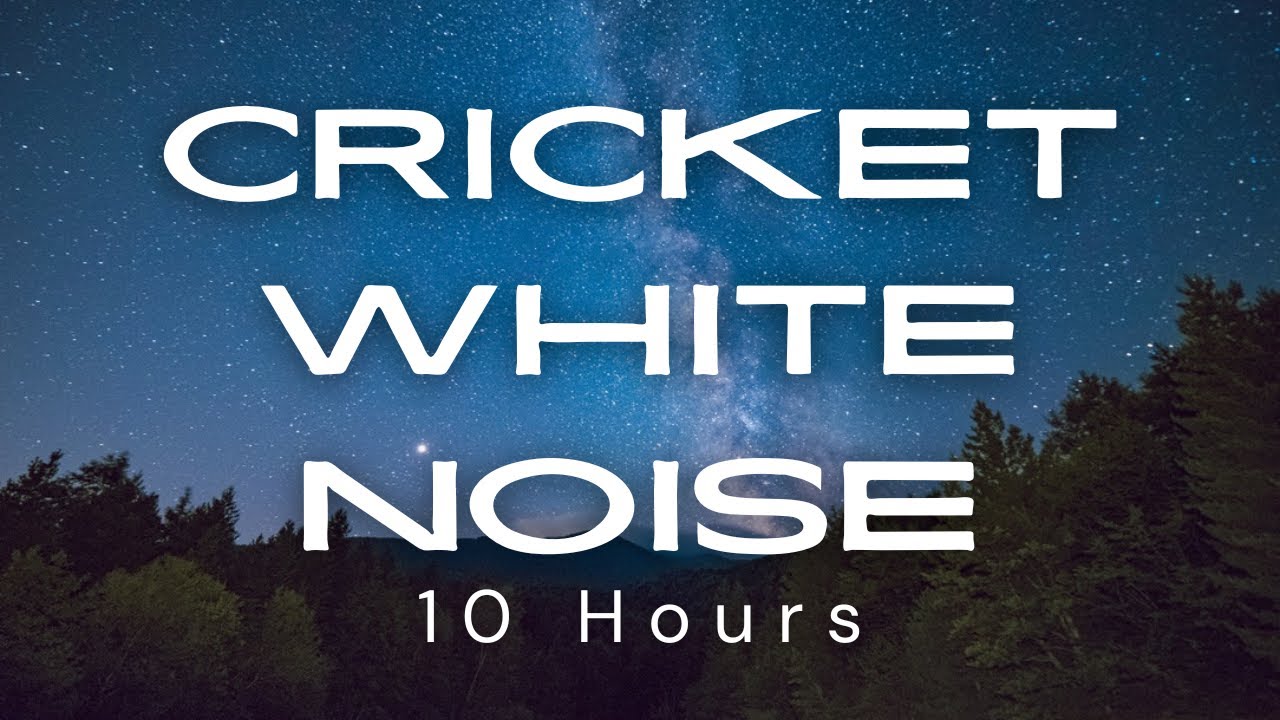 10 Hours Night Ambient Sounds, Cricket, Starry Sky at Night, Sleep and ...