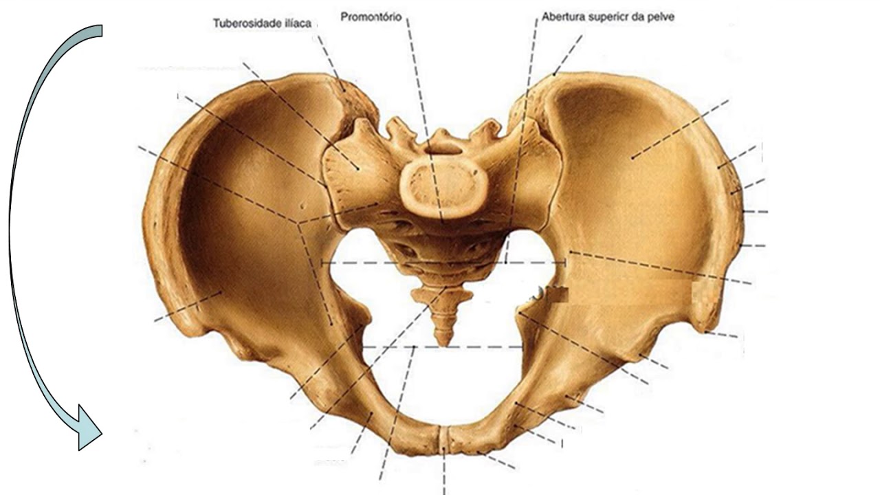 AULA ACIDENTES OSSEOS ILIO - YouTube