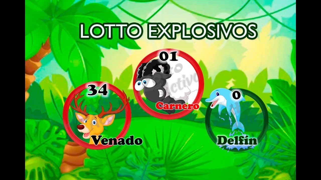 JUEVES 01-02-2024 DATOS LOTTO ACTIVO, GRANJITA, GUACHARO, SELVA PLUS ...