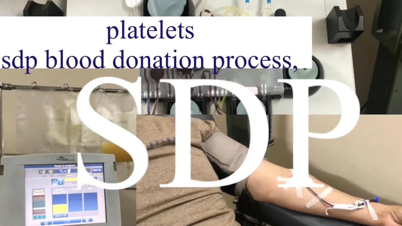 SDP kya hai | sdp kese nikalte hai . Full process in hindi #SDP # ...