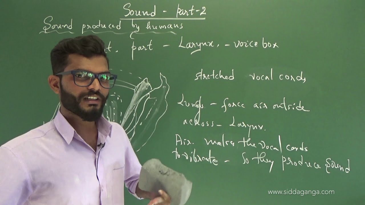 CBSE 8 - STATE 8 - SCIENCE - SOUNDS - PART 2 - YouTube