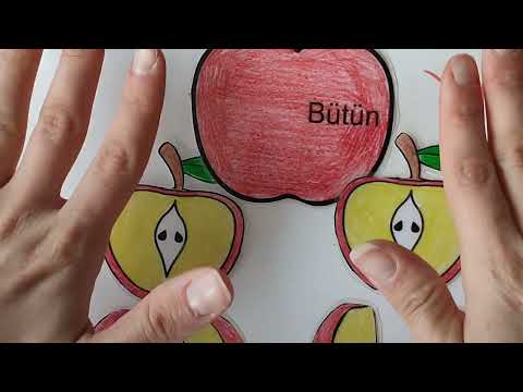 2.Sınıf Kesirler Bütün, Yarım , Çeyrek Konu Anlatımı