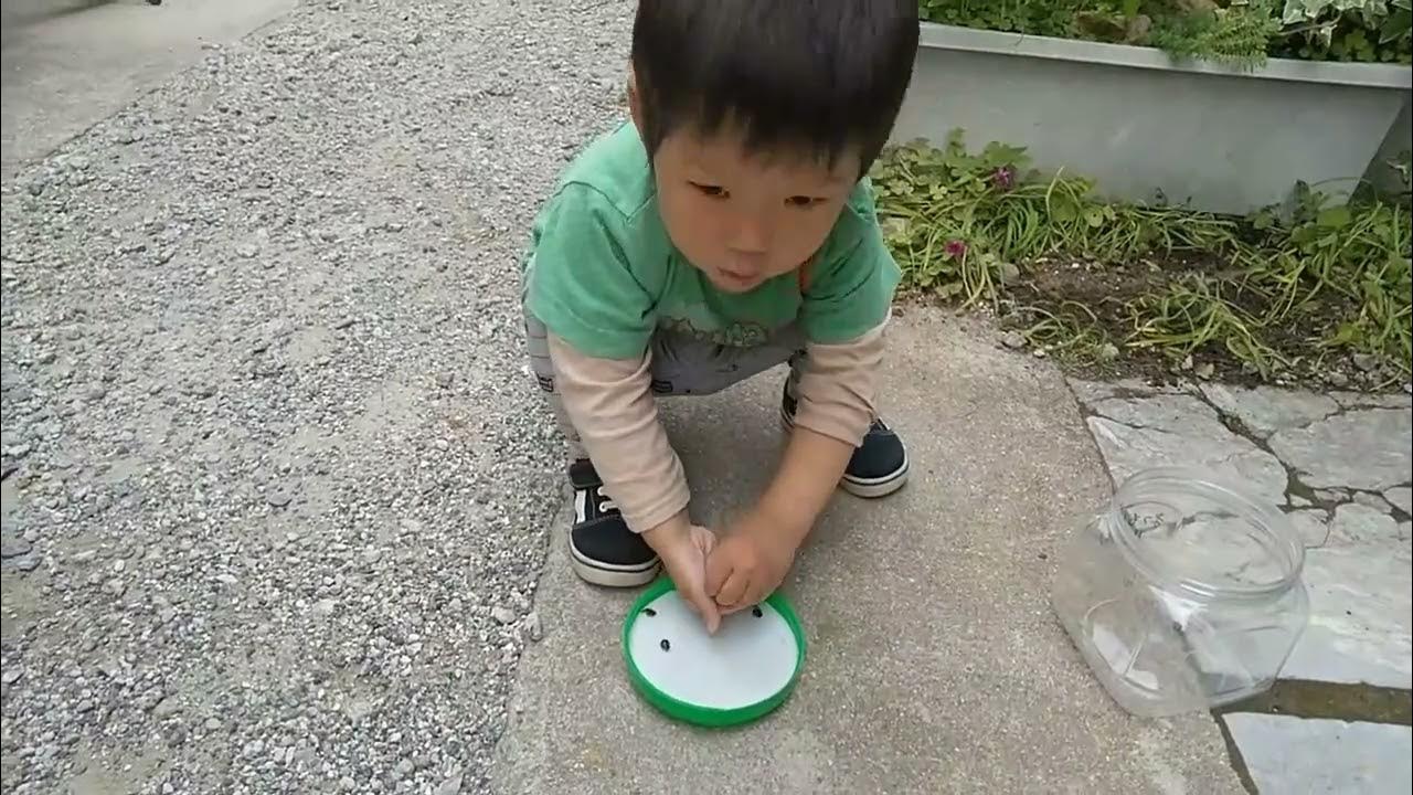 R6 4 26 てんとう虫 - YouTube