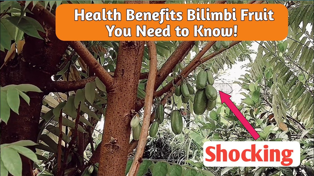 Bilimbi Fruit: Tiny But Powerful | Shocking Health Benefits You Need to ...