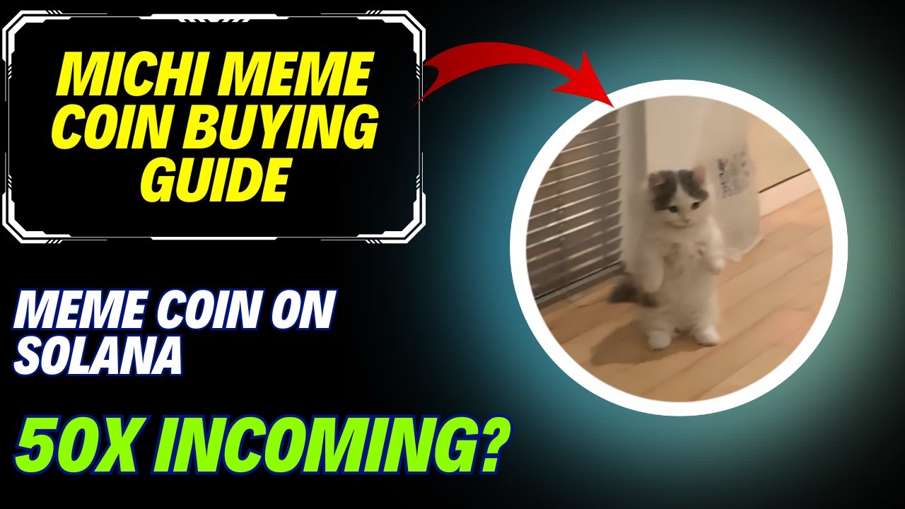 How To Buy Michi Meme Coin on Solana | Step by Step Guide - YouTube