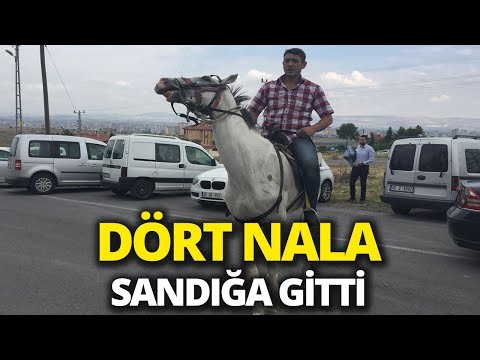 Oy Kullanmaya At Üzerinde Gitti