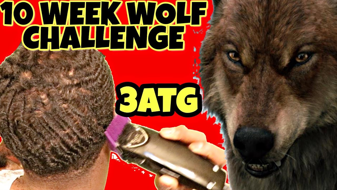 360 WAVES: 10 WEEK WOLF CHALLENGE! SHOTS FIRED!! EPIC 3ATG HAIRCUT ...