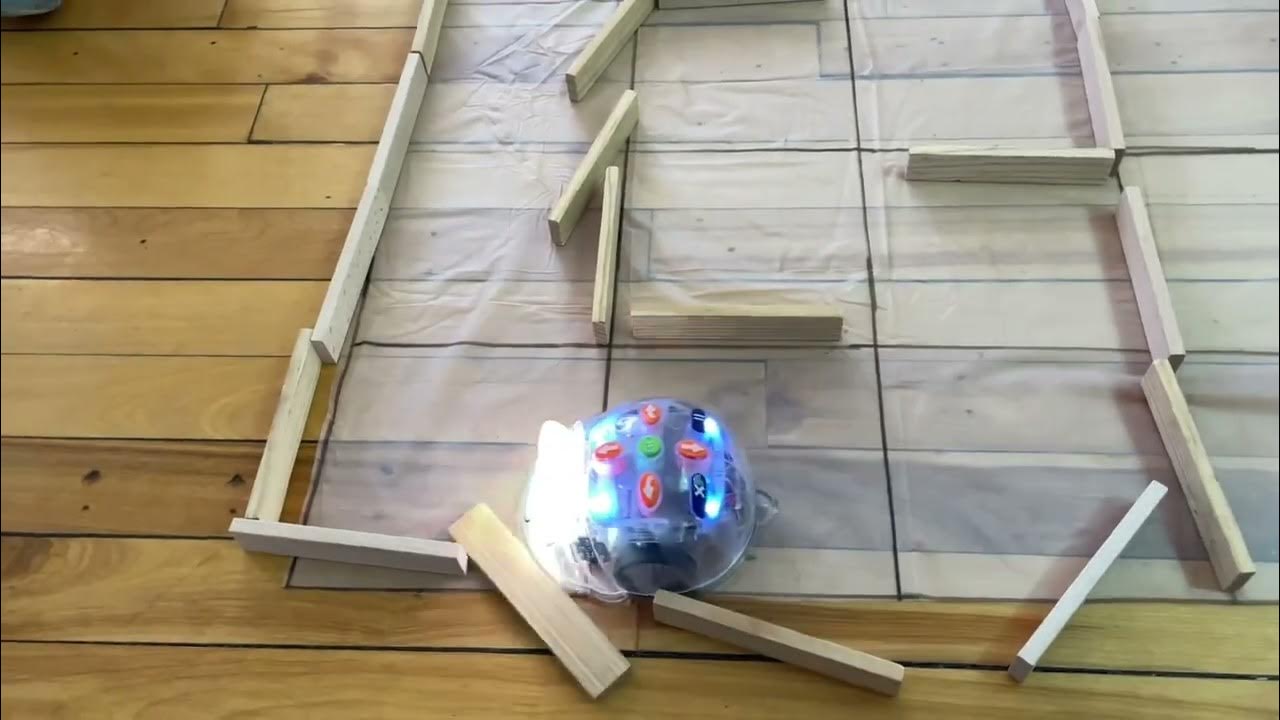 Bluebot Mazes - Grade 1A - YouTube