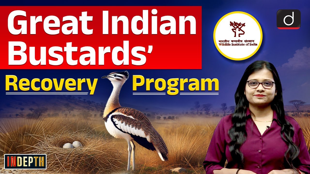 Great Indian Bustards Recovery Program | lesser Florican| Indepth | Drishti IAS English - YouTube