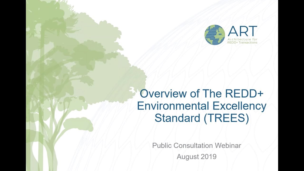Overview of The REDD Environmental Excellency Standard (TREES) - YouTube