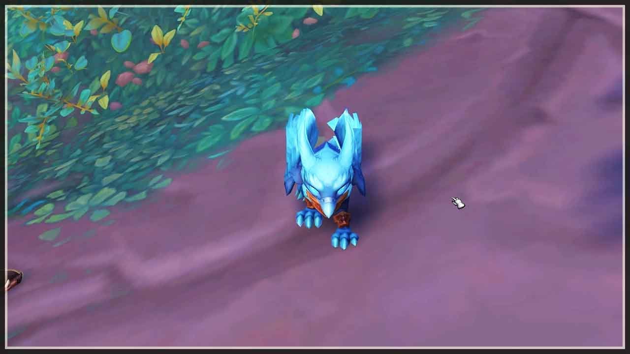 Squally WoW Pet - YouTube