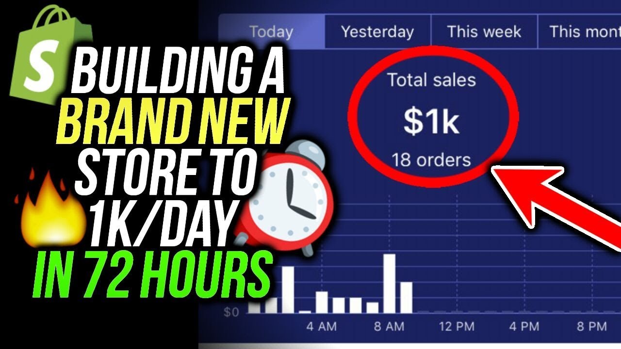 How I Built A NEW Shopify Store To $1k/Day In 72 Hours! (Shopify ...