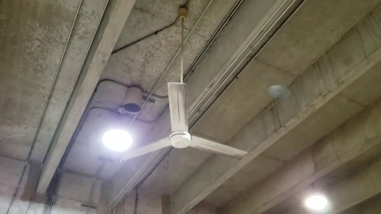56" Dayton Industrial Ceiling Fans (For Brian-FanofFans17) - YouTube