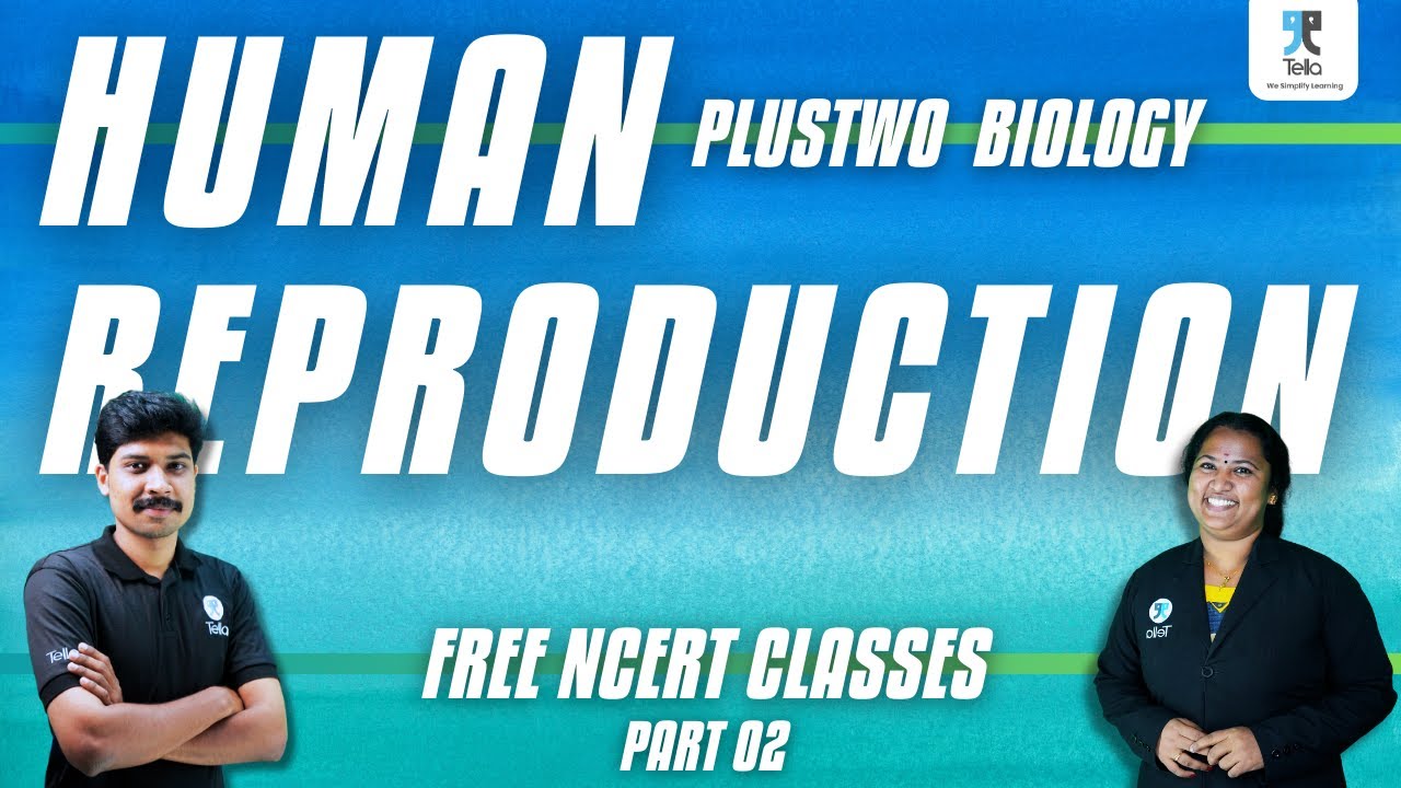 Human Reproduction Part 2 - Free ആയി പഠിക്കാം | Tella Classes | Neet | Ncert | Plustwo - YouTube
