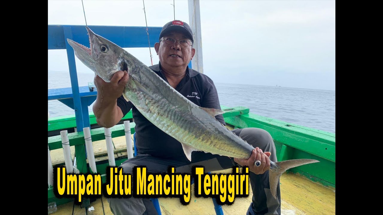 Umpan Jitu Untuk Mancing Tenggiri! - YouTube
