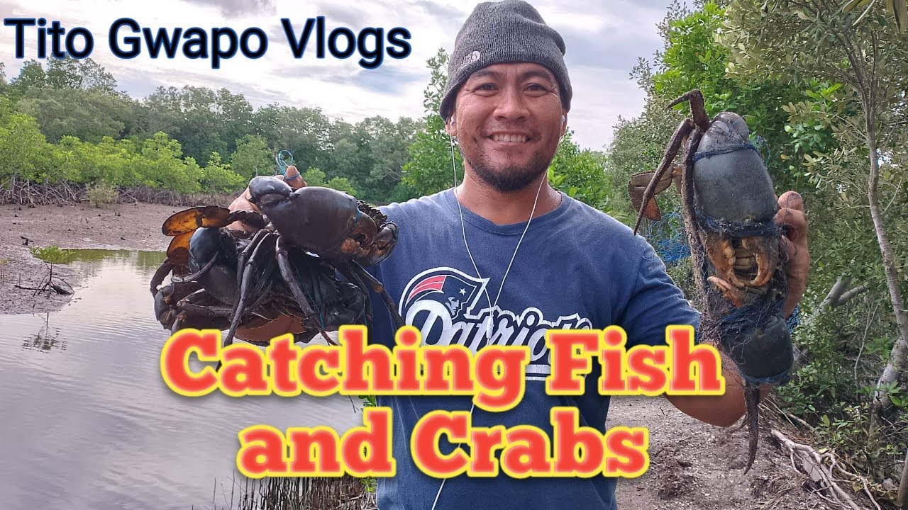 One Way of Catching Milkfish(bangus) by using fishing net@tito gwapo ...