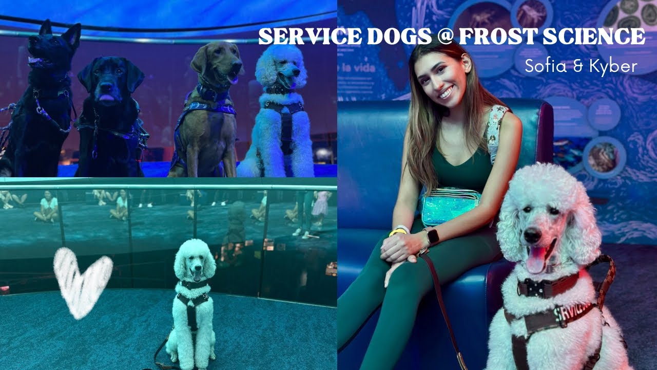 Service Dog Meet Up at Science Museum || ft. @marsservicedog ...