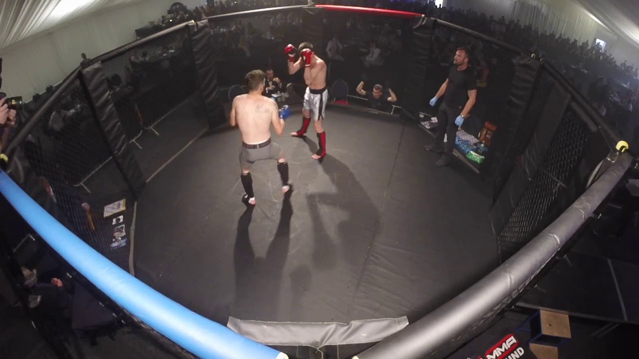 Ultra MMA | Ashford Gillingham | James Reed VS Brad Godden - YouTube
