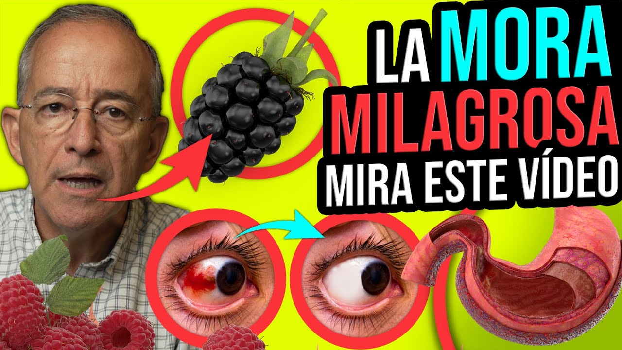 INCREIBLE LA MORA ES LA JOYA DE LAS FRUTAS MUCHOS BENEFICIOS CONTRA EL ...