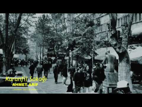 karanfil sokagi / Ahmet Arif / Sabri Ucar Caliskan