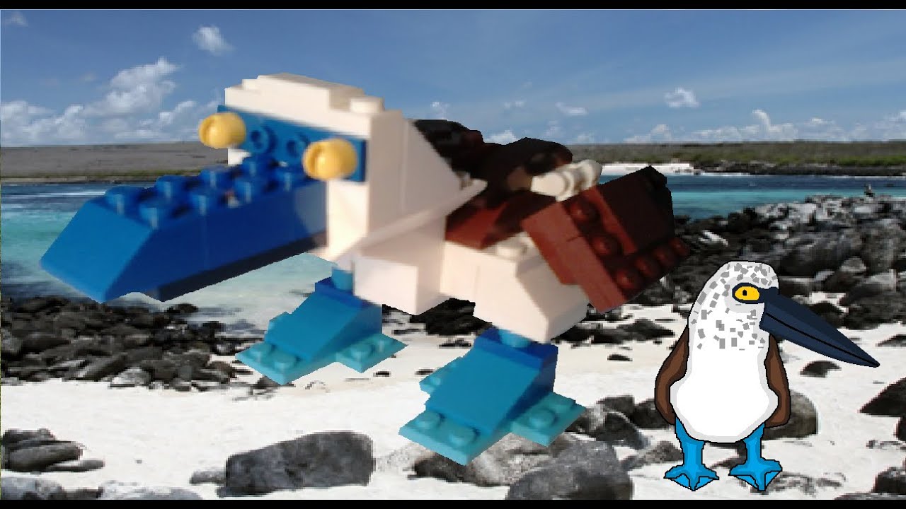 Lego Coissac Creations: #5 Blue Footed Booby MOC - YouTube