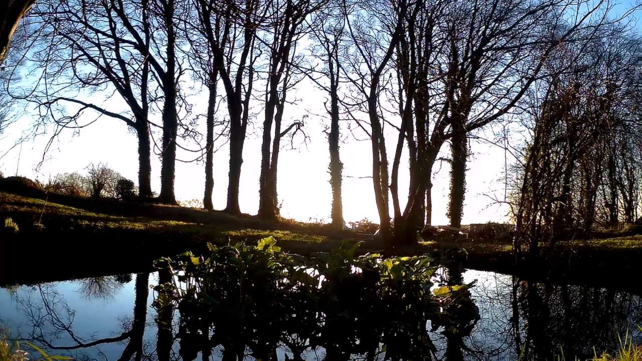 Sj5000 plus timelapse sun over pond - YouTube