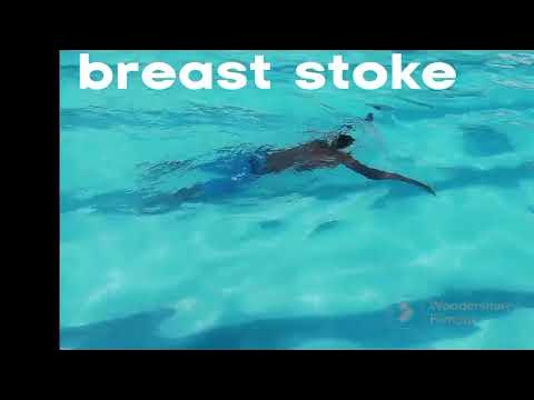 HOW TO DIVE STEP 1 - YouTube