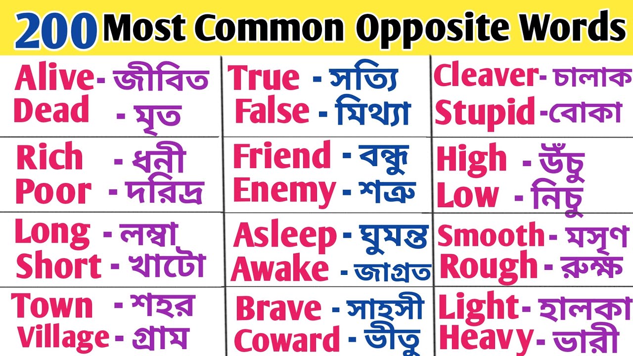 200 Opposite Words Meaning For Beginners |Daily Use Opposite Words ...