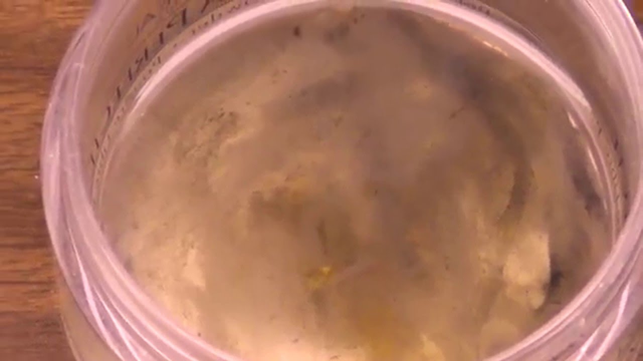 Iron Bacteria? Slime Bacteria? sample one day later, exposed to air ...