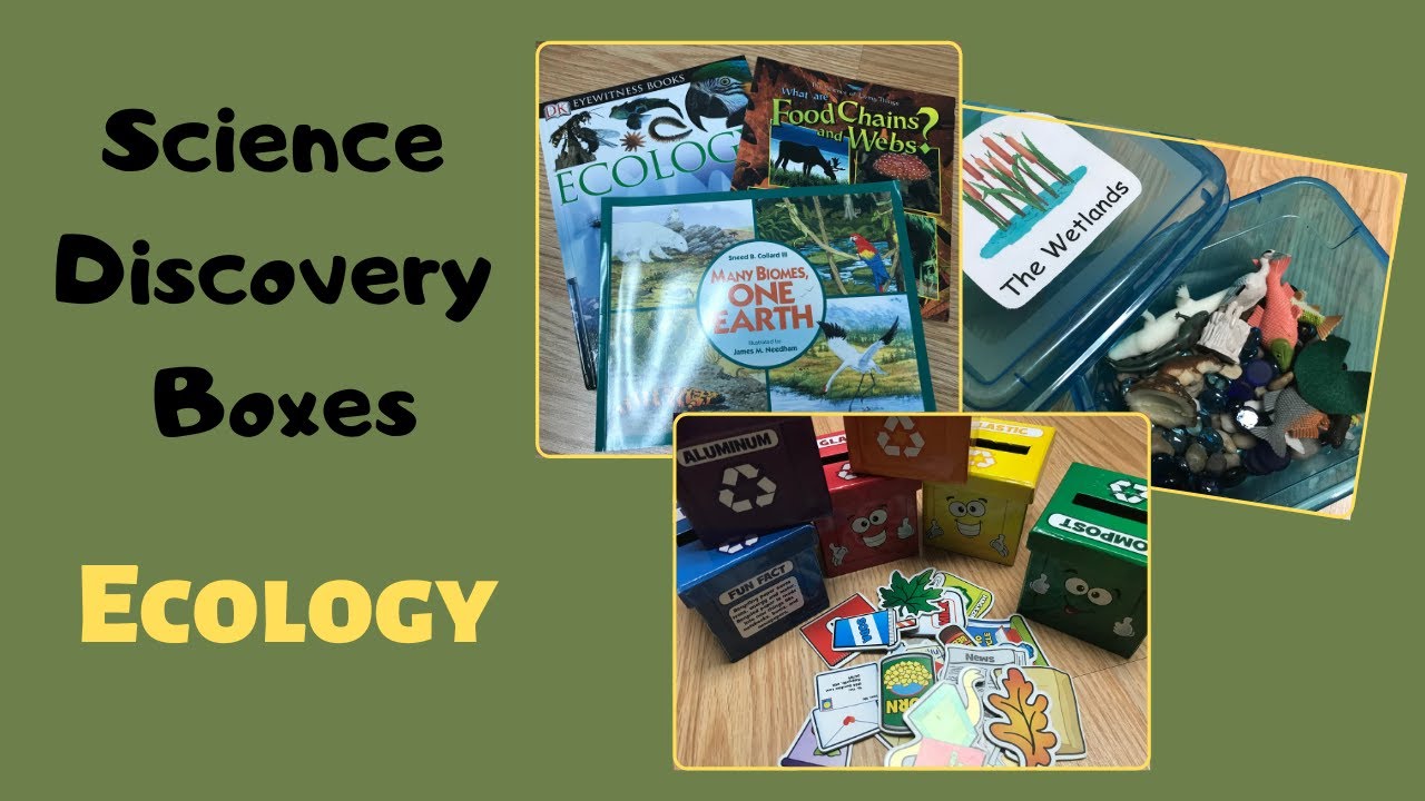 Homeschool Science: What's in our Ecology Discovery Box? - YouTube
