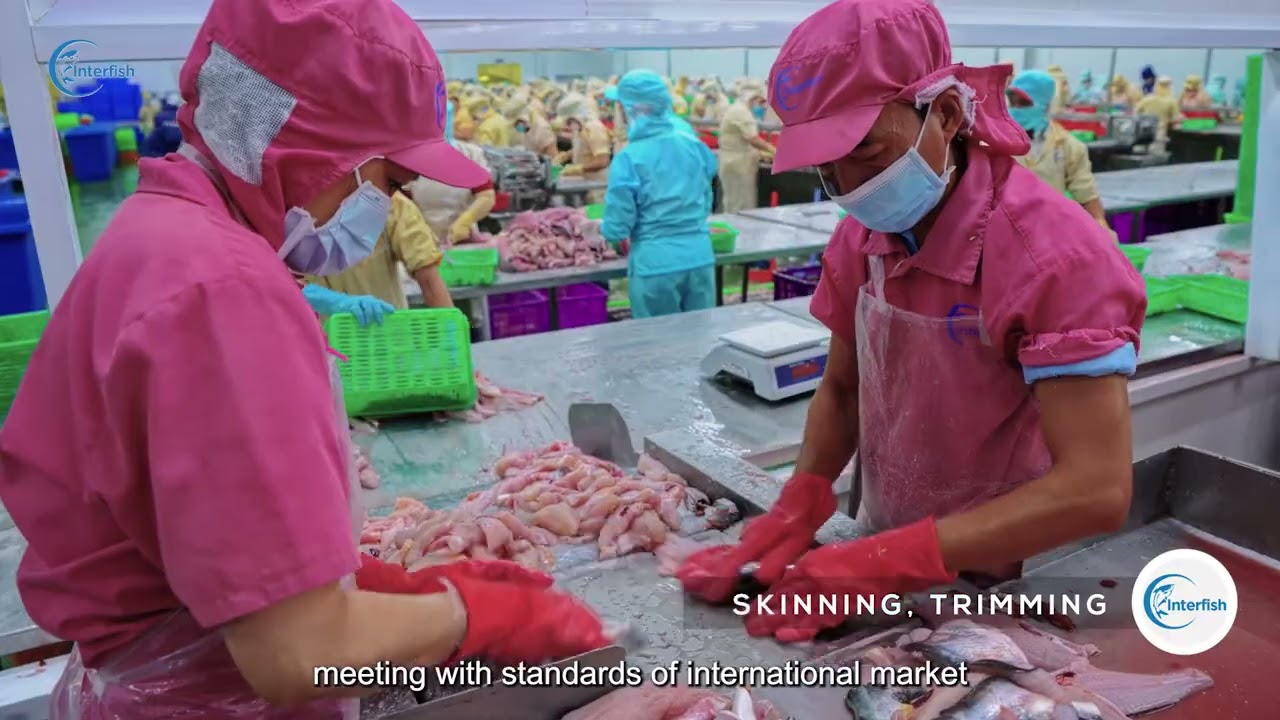 Interfish Introduction - YouTube