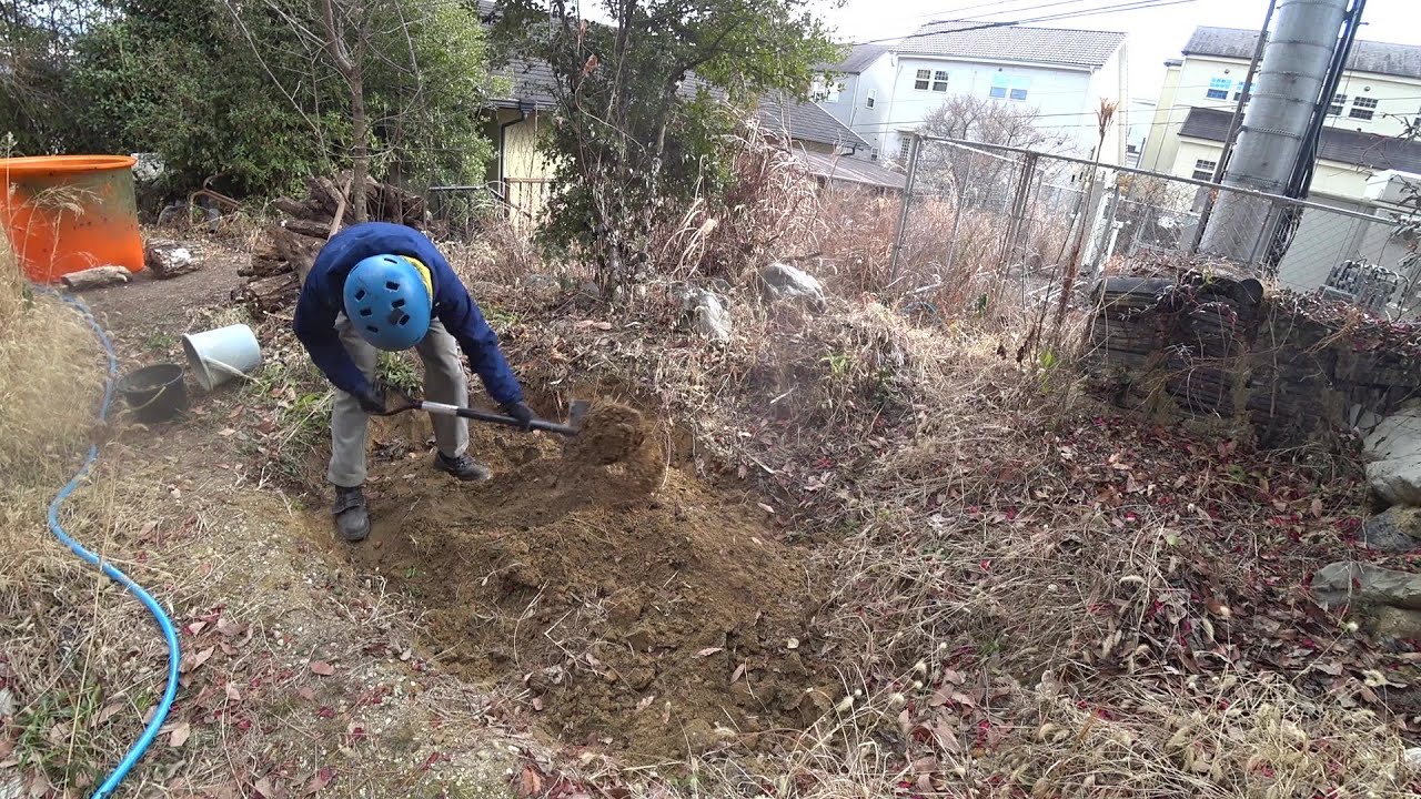 Nature Wonderland; building a bog area in the middle section 20250220 ...