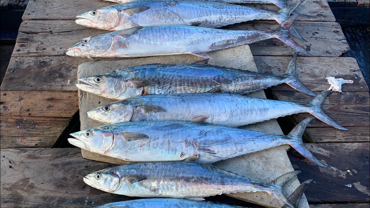 Mancing Tenggiri- Karang Setan - YouTube