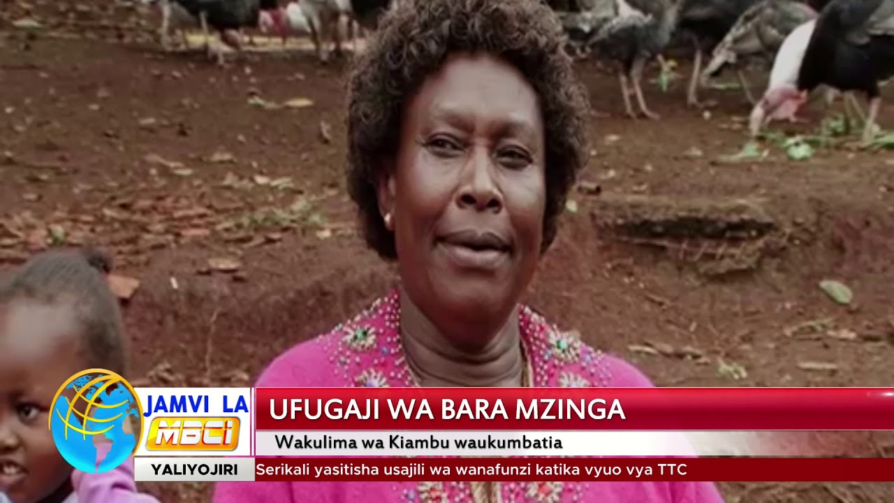 UFUGAJI WA BATA MZINGA - YouTube