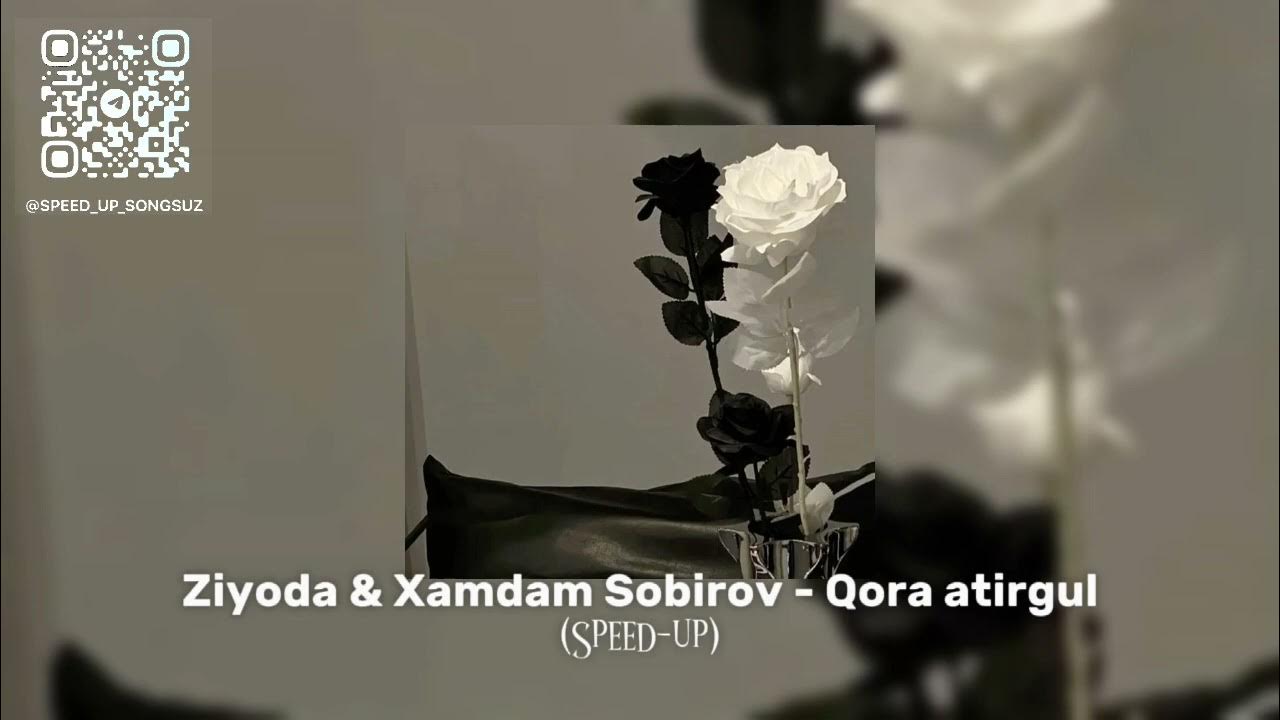 Hamdam&Ziyoda-qora atirgul (speed up) | Хамдам&Зиёда-кора атиргул (спид ап) - YouTube