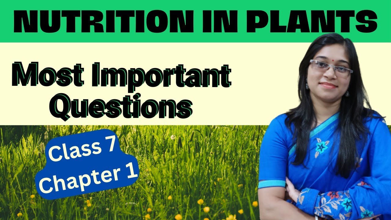 Most Important Questions MCQ | Nutrition In Plants Class 7 Science ...