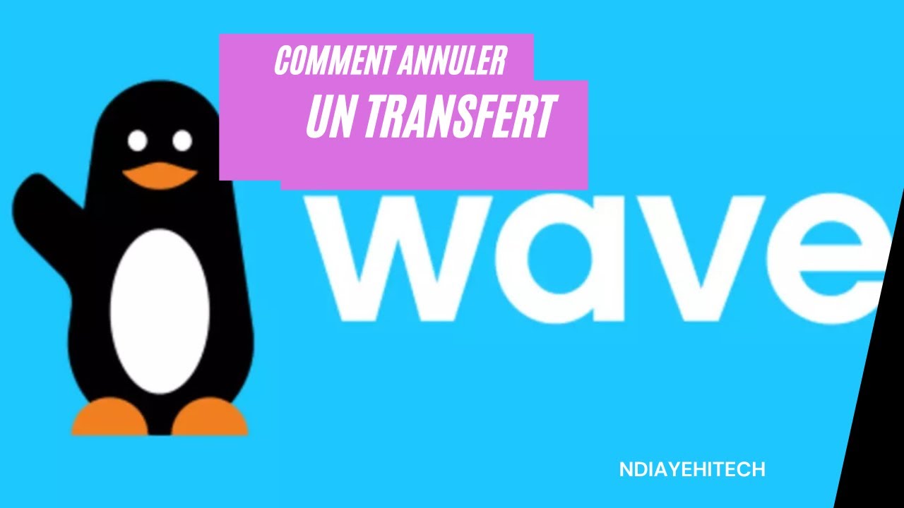 Comment annuler ↩️ un transfert wave sans appeler 📞 le service client ...