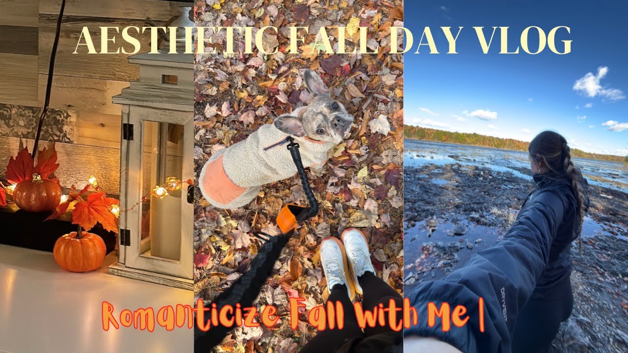 Romanticize Fall With Me | Aesthetic Fall Day Vlog 🍂 🐻🤎 - YouTube