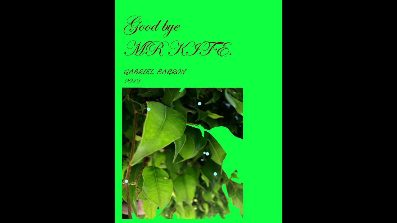 Good bye MR KITE.- Gabriel Barron - YouTube