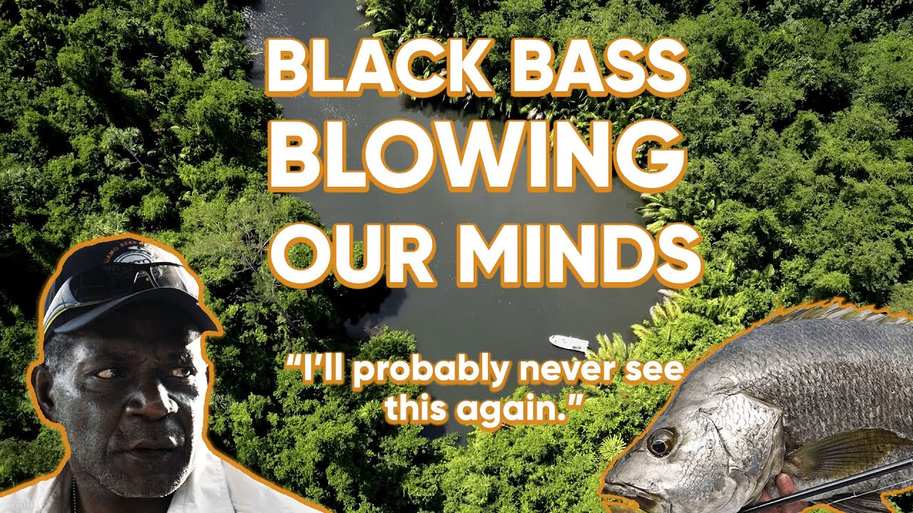 One of the Most Amazing things I've Witnessed - YouTube