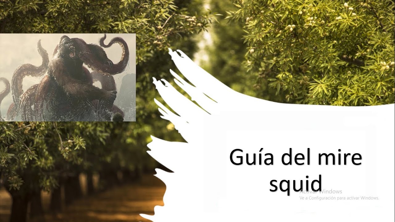 Guía del mire squid - YouTube
