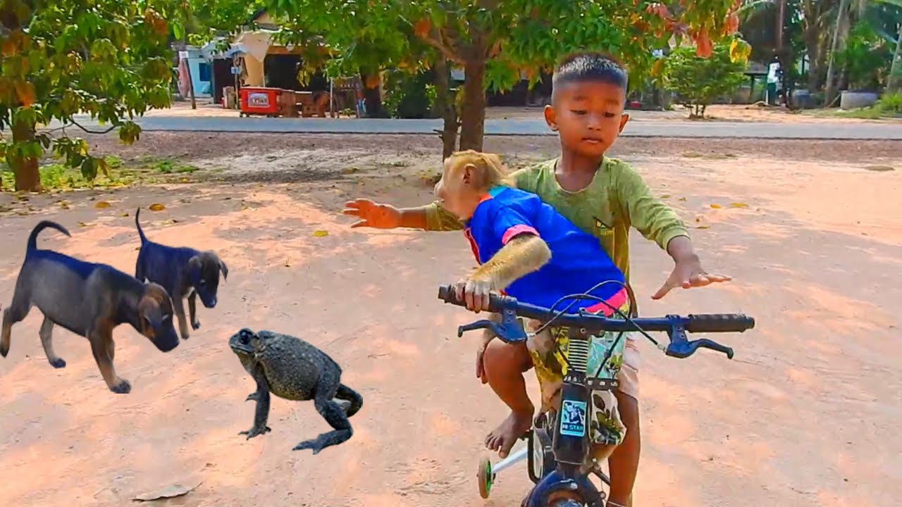 Screaming Loudly & Jump Away, SokYaa Angry Seriously - YouTube