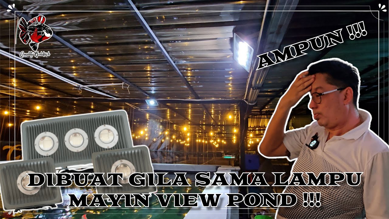 AMPUN !!! DIBUAT GILA SAMA LAMPU MAYIN VIEW POND !!! - YouTube