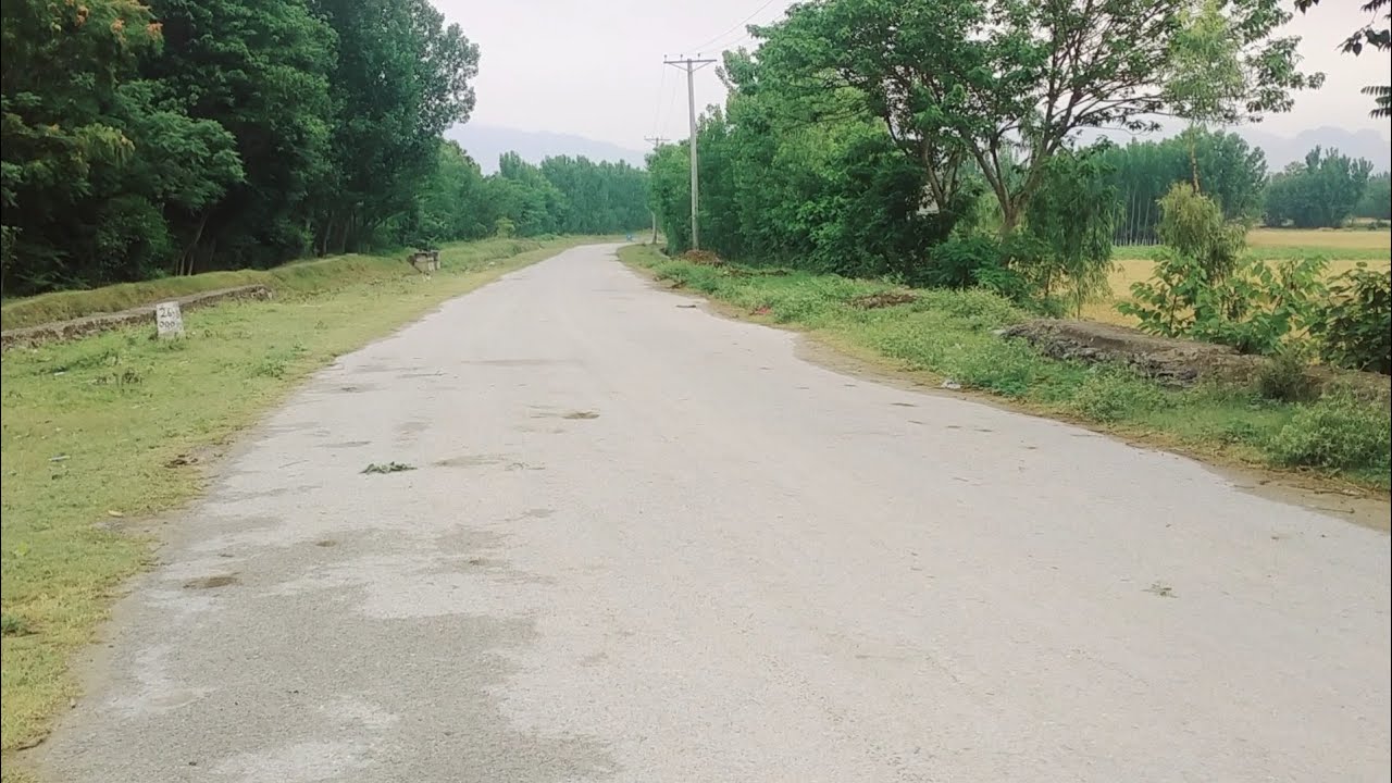 da jrando lar - YouTube