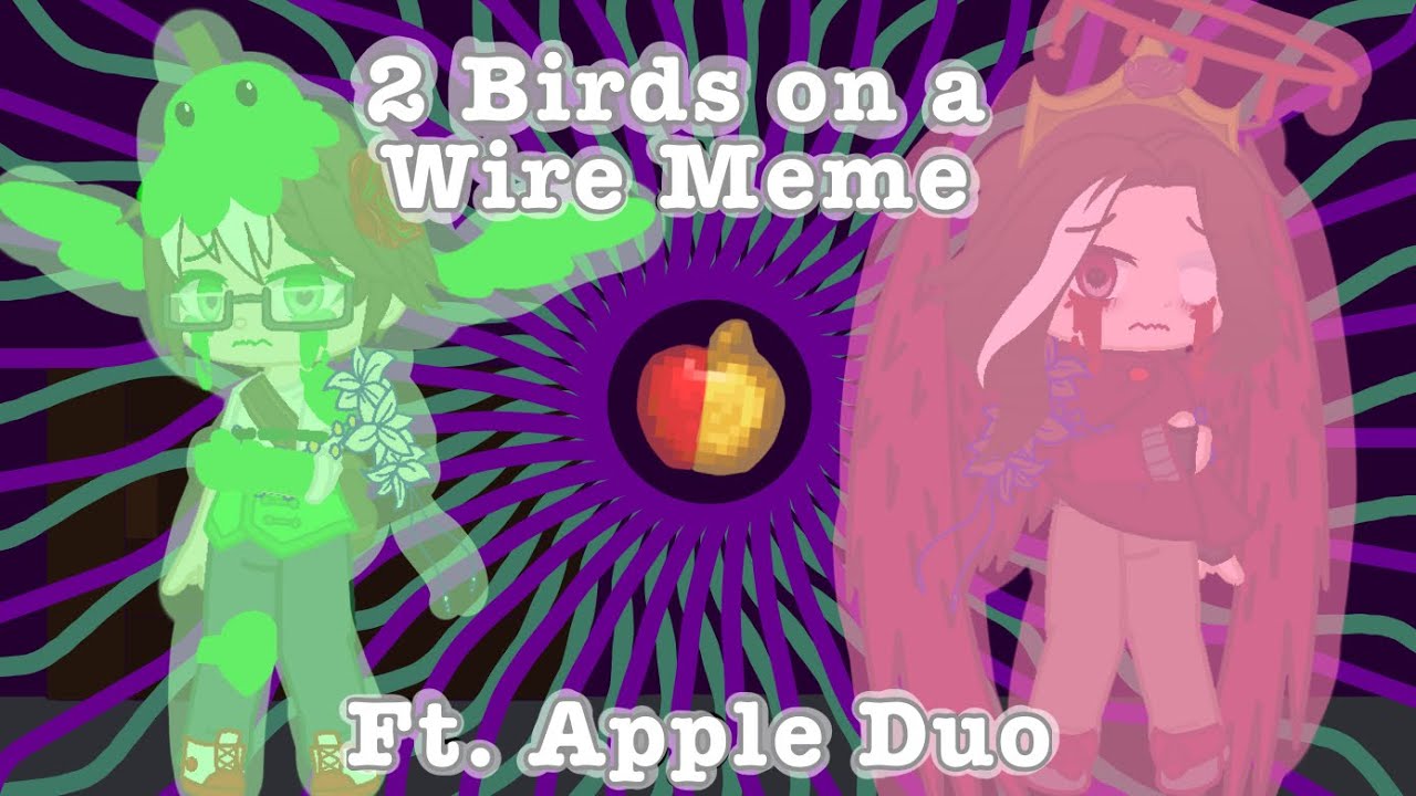 2 Birds on a Wire//Meme//Ft. Apple Duo - YouTube