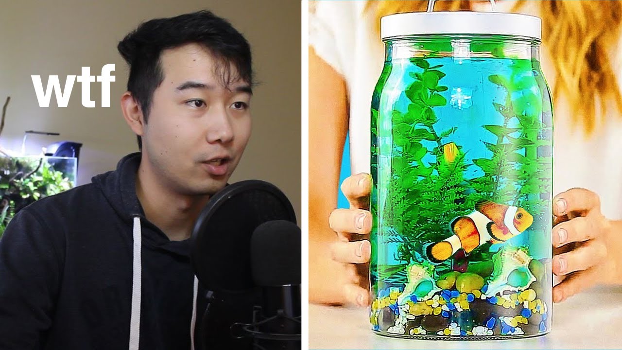Fish Keeper DISGUSTED By 5-Minute Crafts Fish Tanks - YouTube