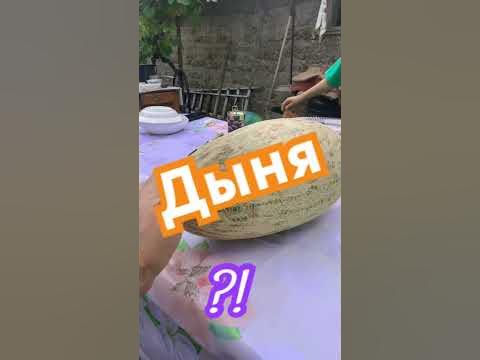 #тыква #дыня #крым #яйцо - YouTube
